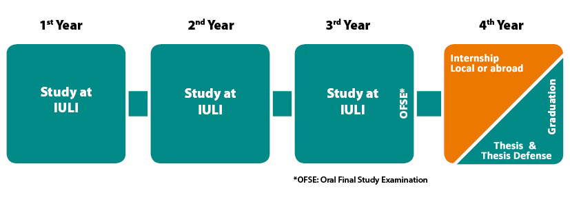 Academic Pathways Bachelor’s Degree – IULI